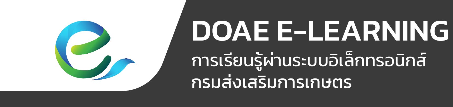 DOAE E-LEARNING